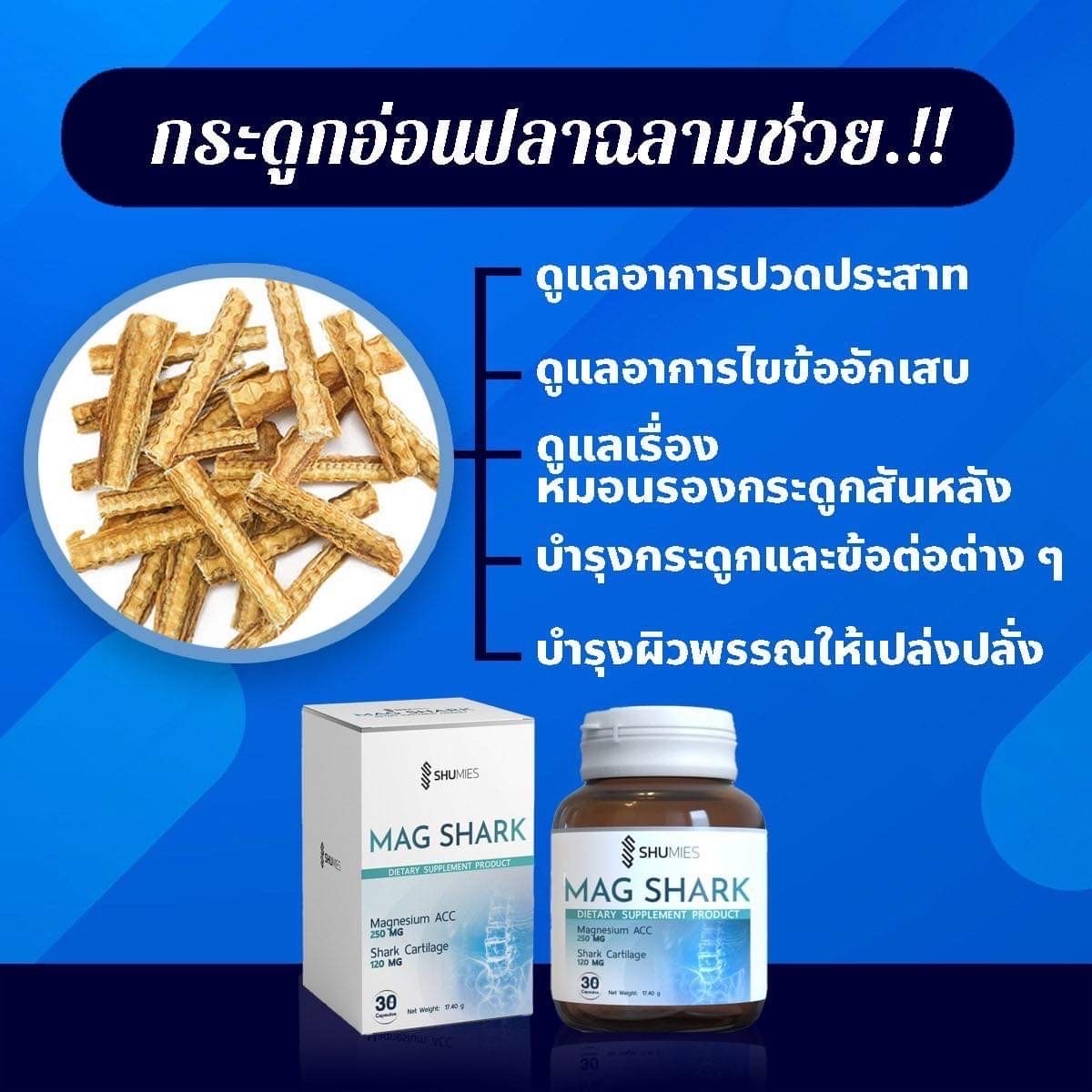 Mag Shark ดูแลกระดูก ข้อต่อ กล้ามเนื้อ ข้อเข่าเสื่อม ปวดเข่า - SHUHADA
