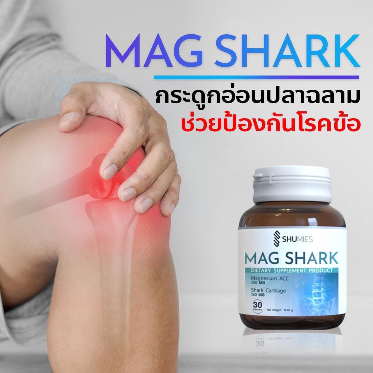 Mag Shark ดูแลกระดูก ข้อต่อ กล้ามเนื้อ ข้อเข่าเสื่อม ปวดเข่า - SHUHADA
